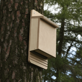 Build Your Own Bat Box Kit