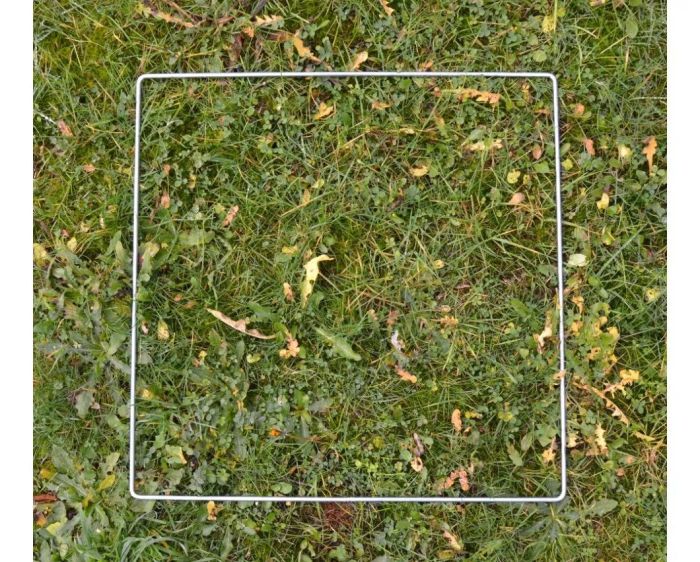 Quadrats