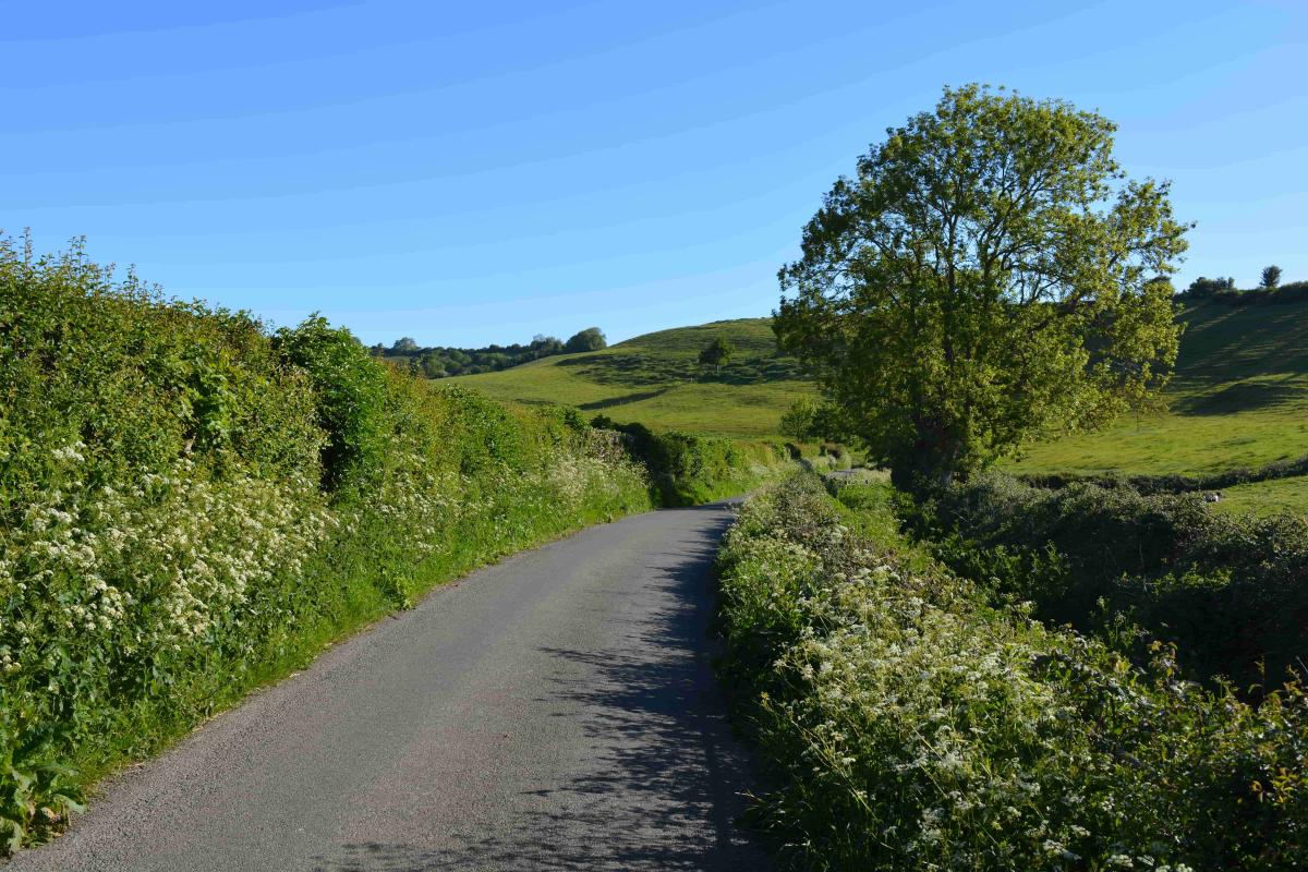 The Importance of Hedgerows | Wildcare